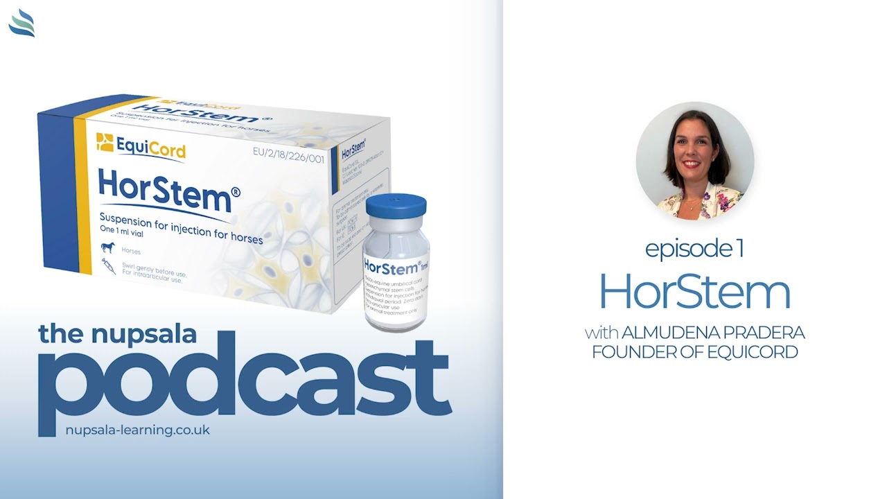 Horstem Podcast Featuring Almudena Pradera – CEO of Equicord & Equine ...