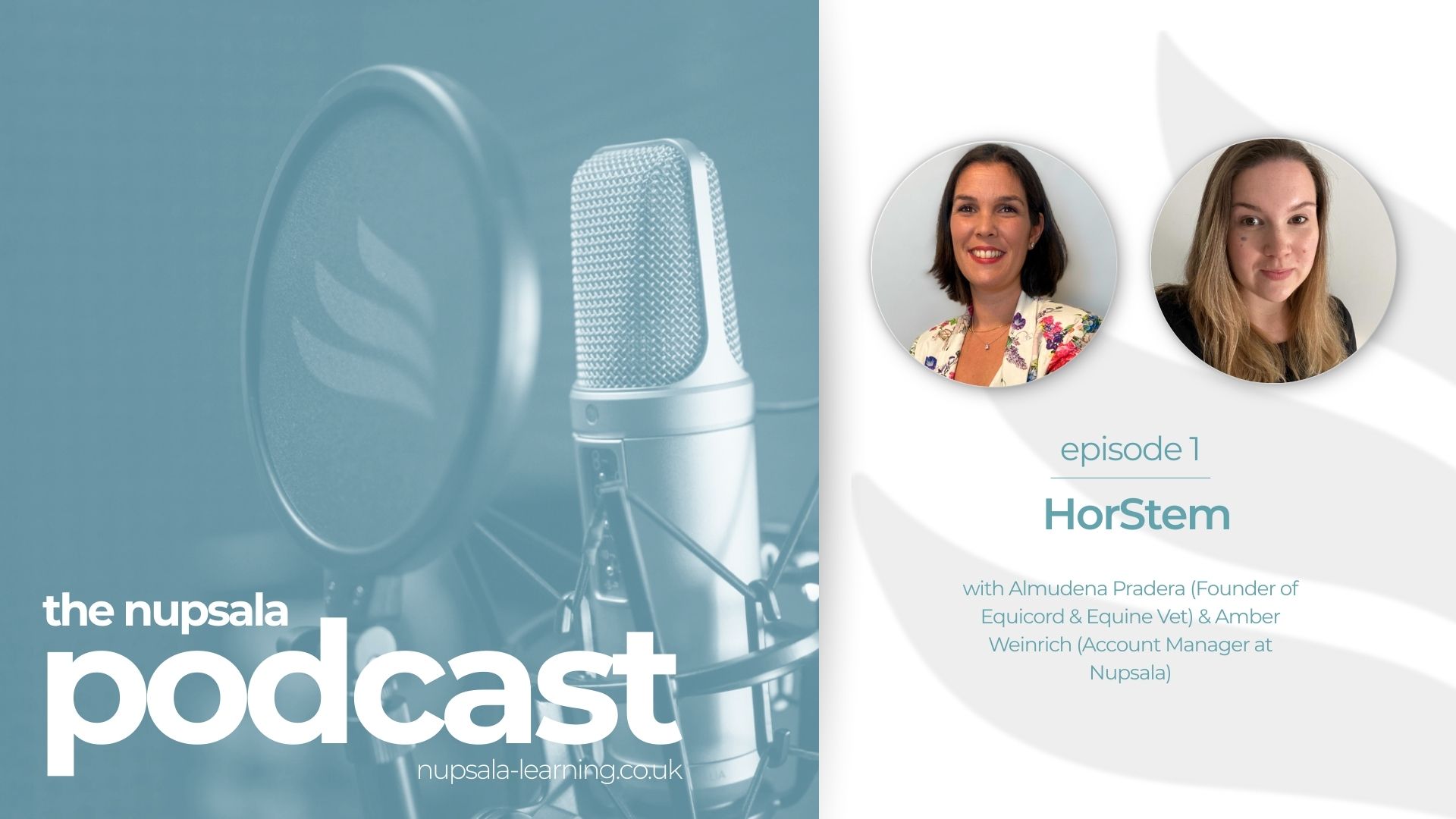 Nupsala Learning - Online Learning resources for Vets and Owners